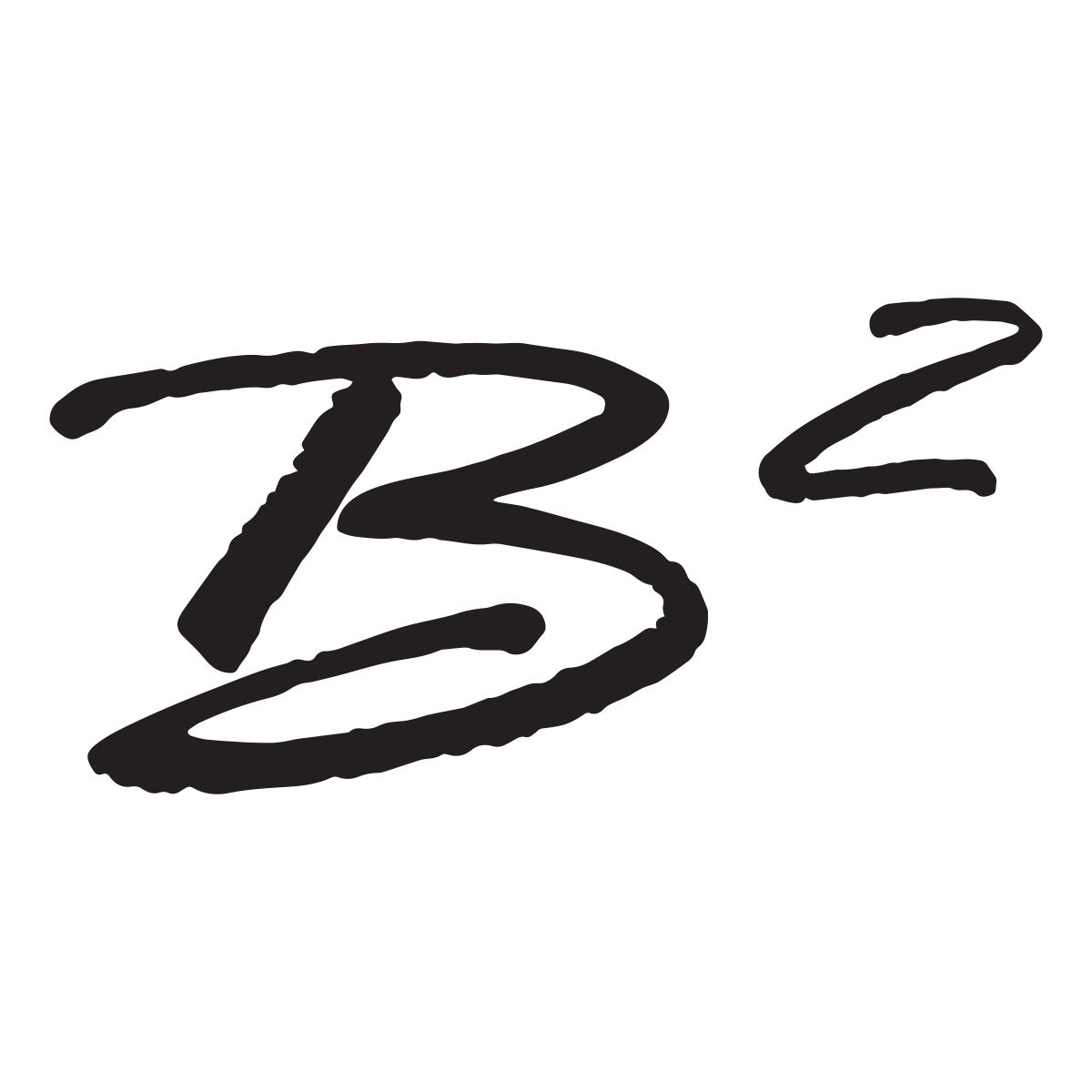 B2 Audio Logo